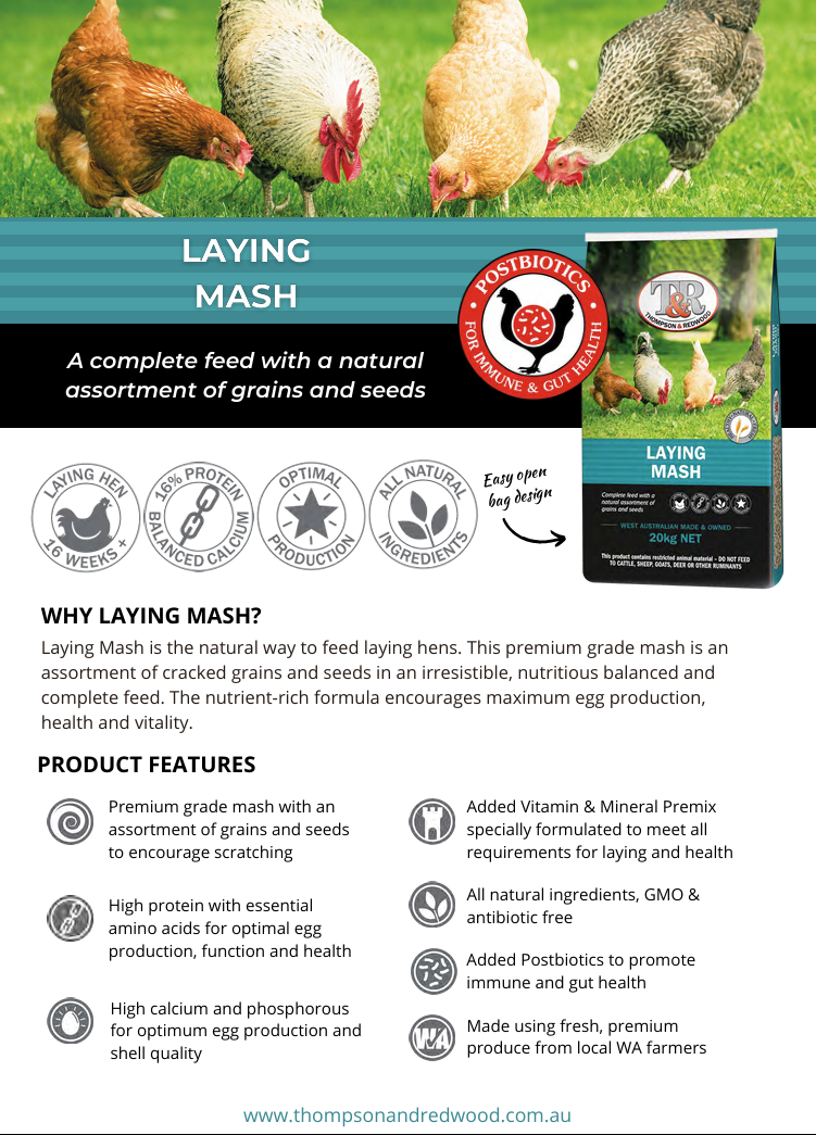 T&R LAYING MASH 20KG – WA Farm Shop
