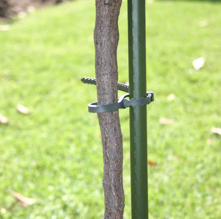 ADJUSTA TIES 120MM PK50 GRN – WA Farm Shop